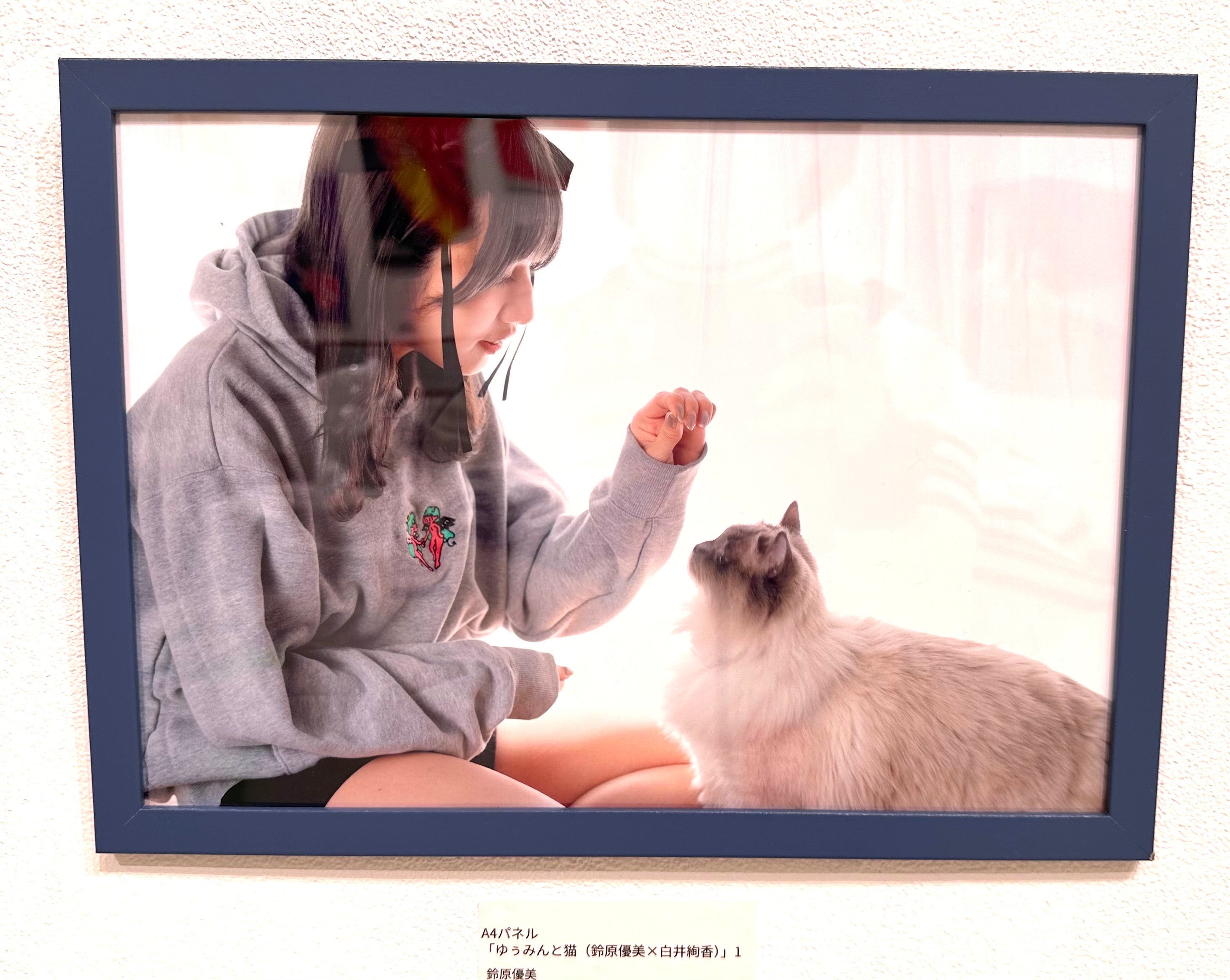 【しゅわフェス】鈴原優美「A4パネル「ゆぅみんと猫（鈴原優美×白井絢香）」1」 – FANY Mall
