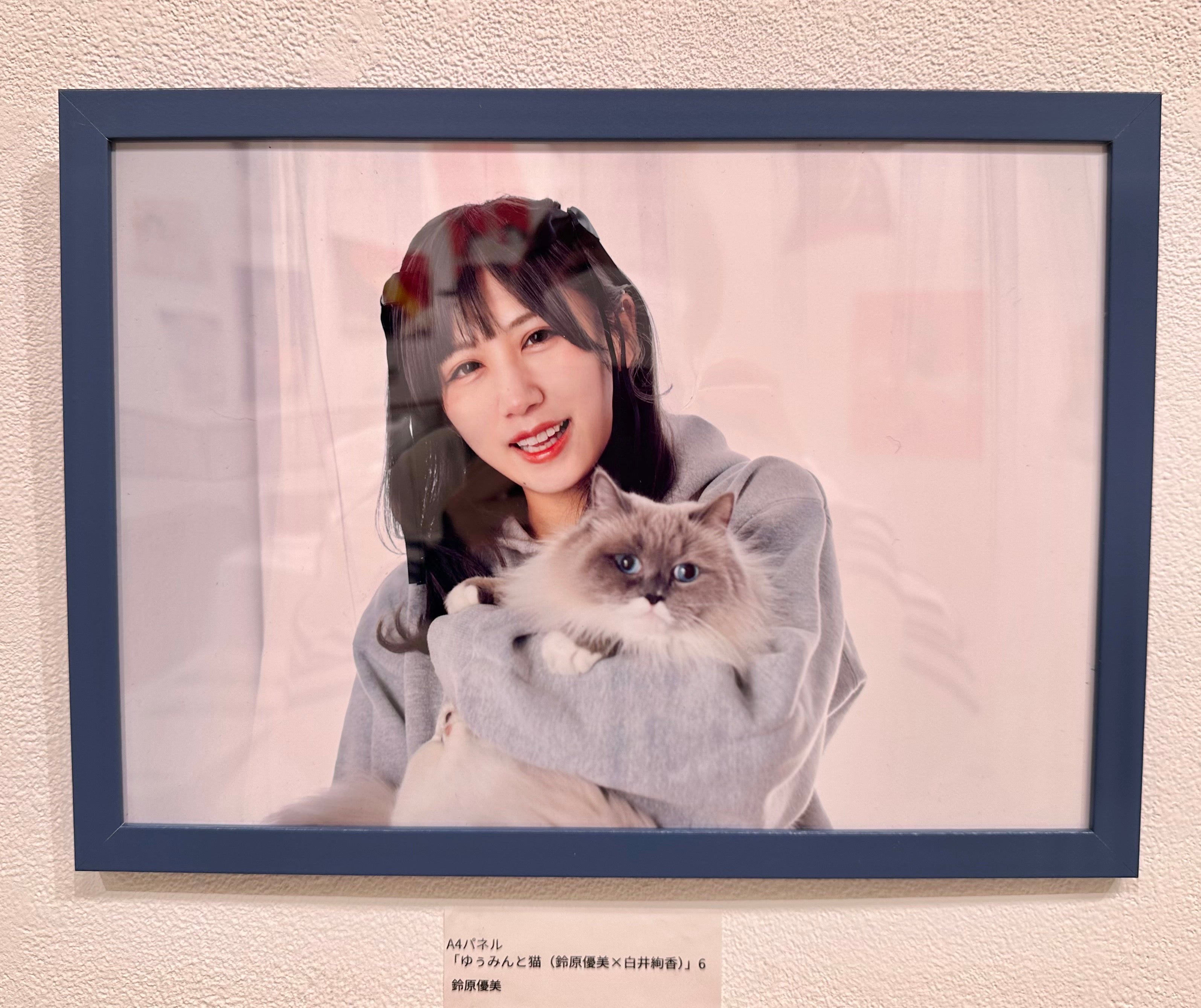 【しゅわフェス】鈴原優美「A4パネル「ゆぅみんと猫（鈴原優美×白井絢香）」6」 – FANY Mall